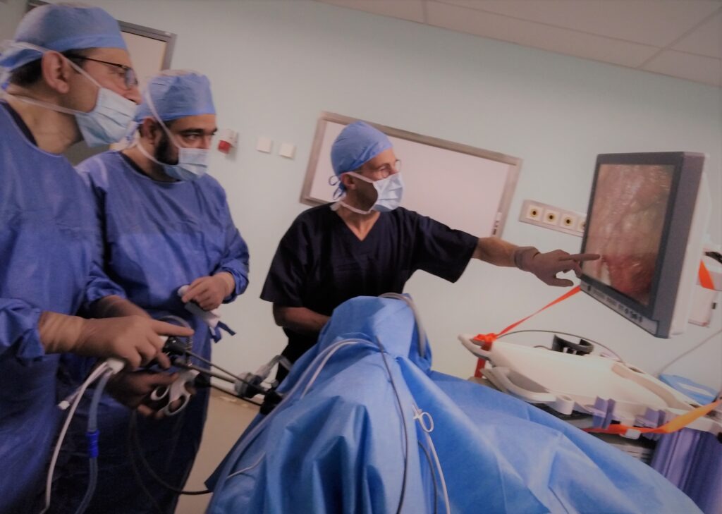 TaTME Cadaveric Course for Surgery of the Rectum (09/24) - Node Institute